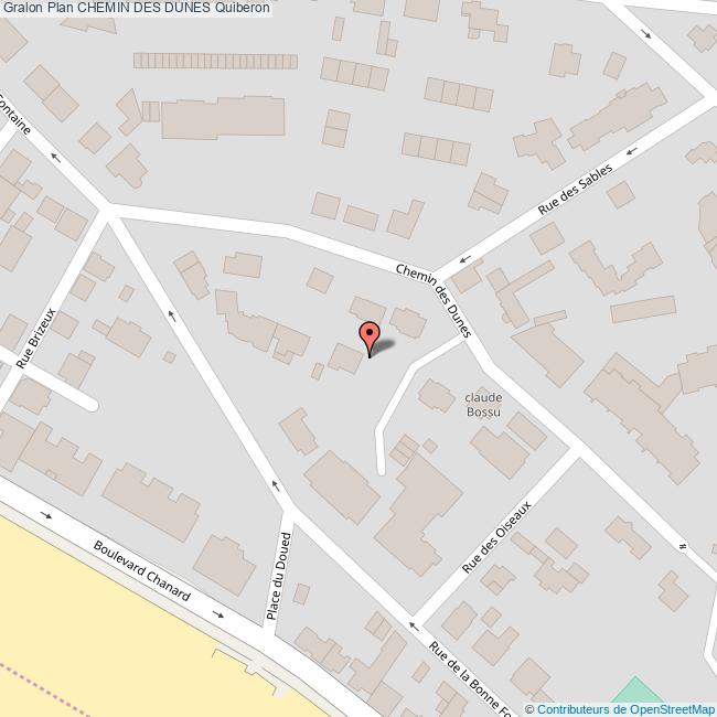 Chemin des DUNES Quiberon