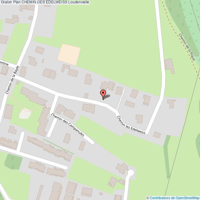 Chemin des EDELWEISS Loudenvielle