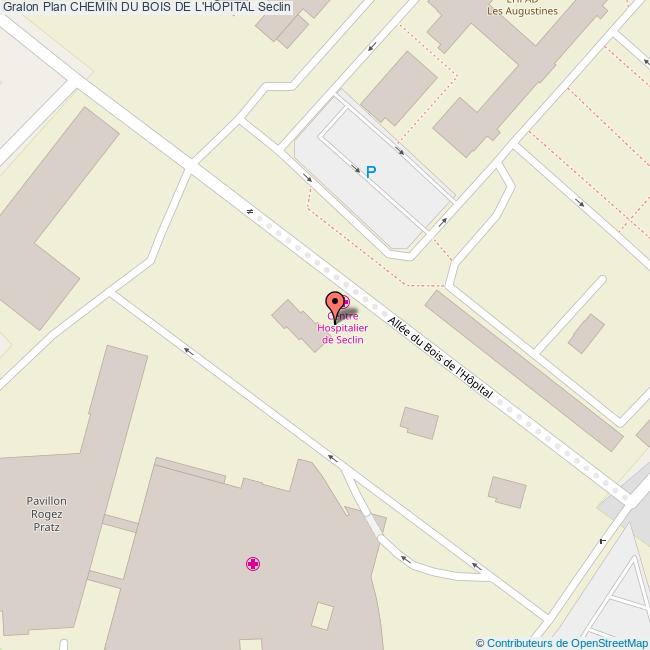 Chemin du BOIS DE L'HÔPITAL Seclin