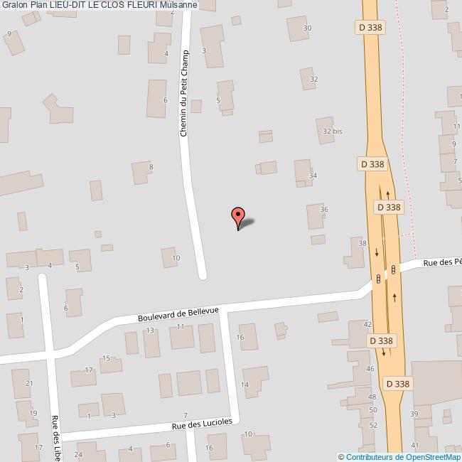 Lieu-dit LE CLOS FLEURI Mulsanne