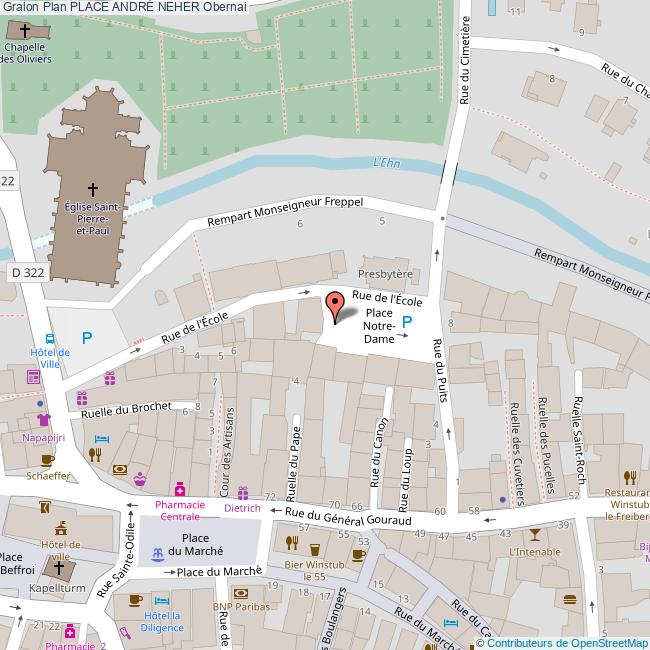 Place ANDRÉ NEHER Obernai