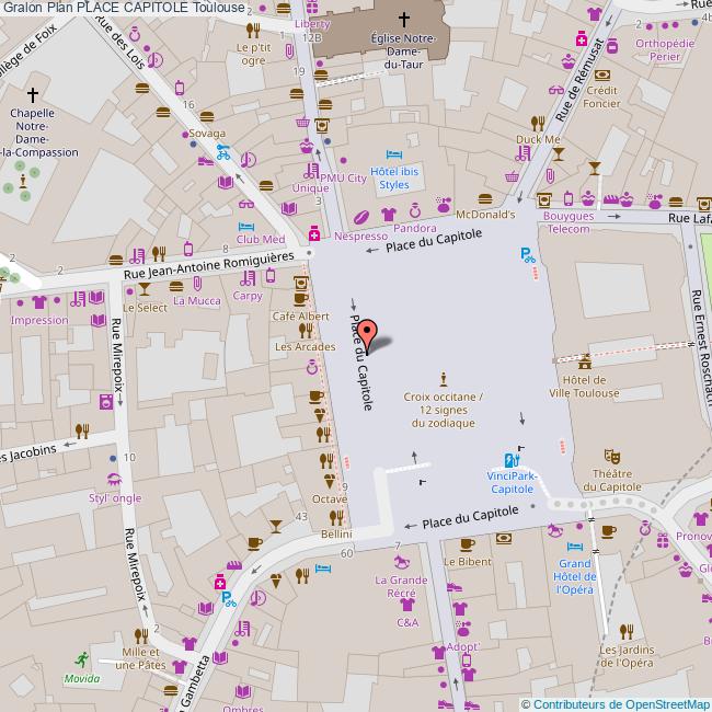 Place CAPITOLE Toulouse