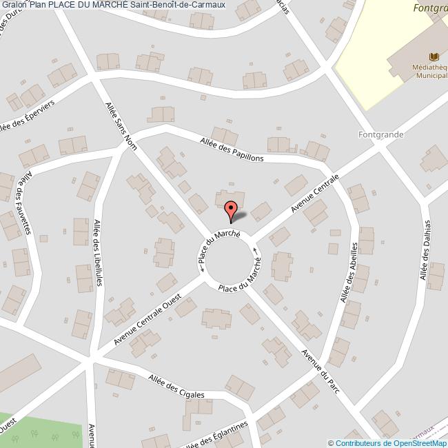 Place du MARCHÉ Saint-Benoît-de-Carmaux
