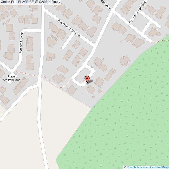 Place RENÉ CASSIN Fleury