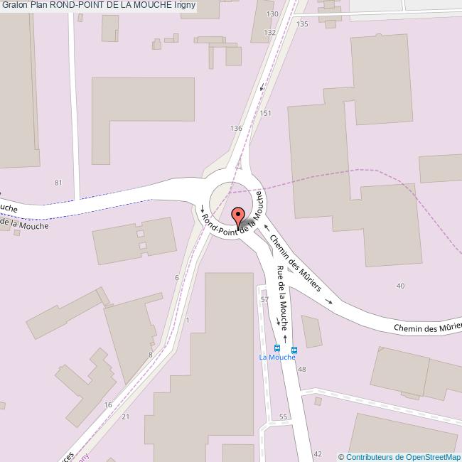 Rond-point de la MOUCHE Irigny
