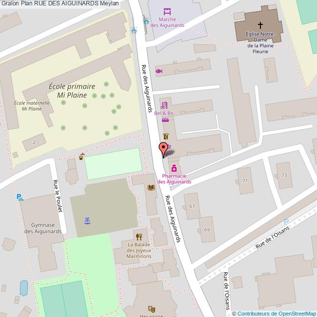 Rue des AIGUINARDS Meylan