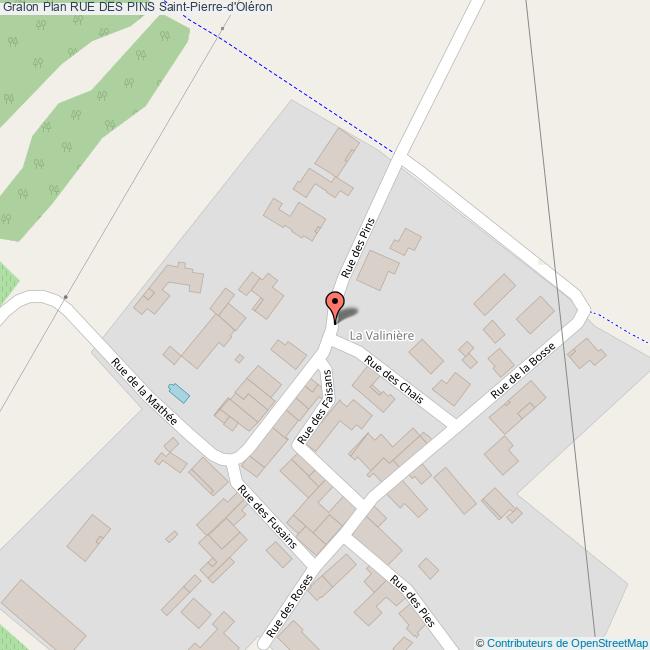 Rue des PINS Saint-Pierre-d'Oléron