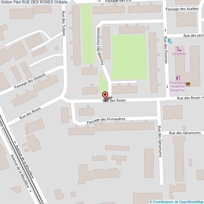 Rue des ROSES Orléans