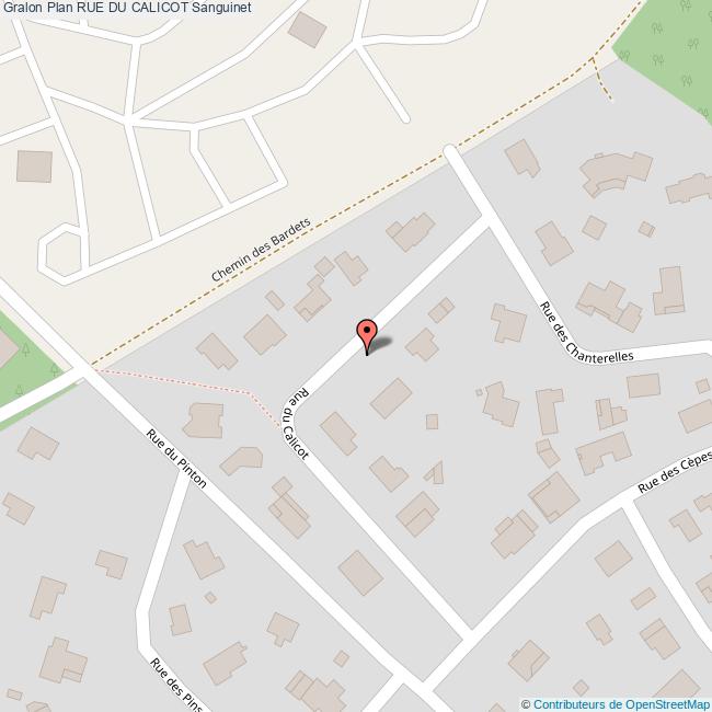 Rue du CALICOT Sanguinet