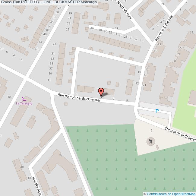 Rue du COLONEL BUCKMASTER Montargis