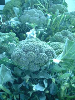 Chou brocolis informations calories Chou brocolis