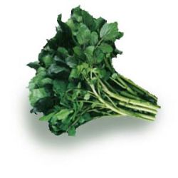 Cresson - Informations nutritionnelles et calories