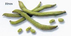 Fève informations calories Fève