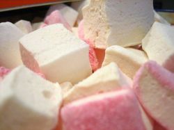 Guimauve informations calories Guimauve