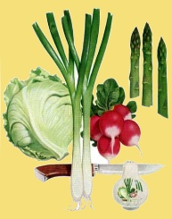 Légumes verts informations calories Légumes verts