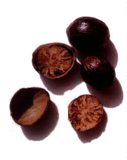 Muscade informations calories Muscade