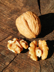 Noix informations calories Noix