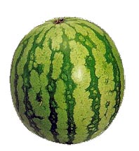 Pastèque informations calories Pastèque