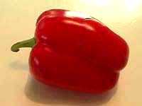 Poivron informations calories Poivron