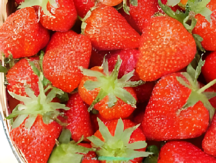 Fraises - Informations nutritionnelles et calories