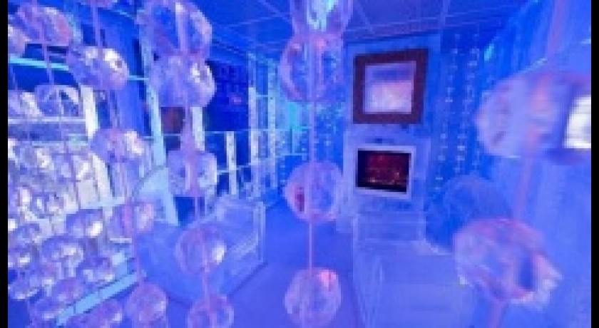 Restaurant Ice Kube Bar Paris