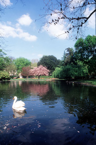 Jardin Royal Toulouse