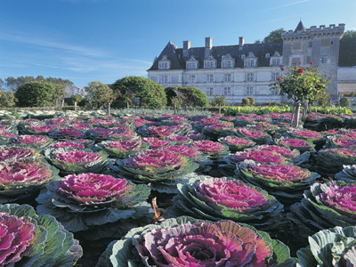 Jardins Du ChÂteau De Villandry Villandry