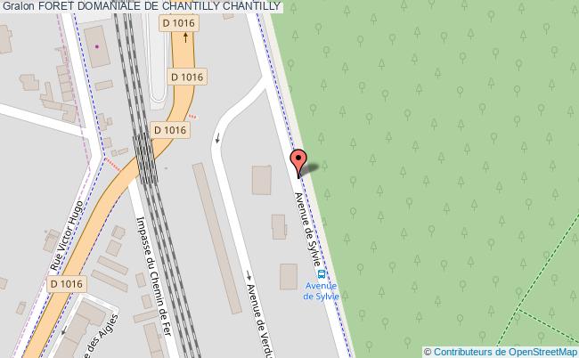 Foret domaniale de chantilly Chantilly tourisme