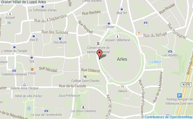 Hôtel de luppé Arles tourisme