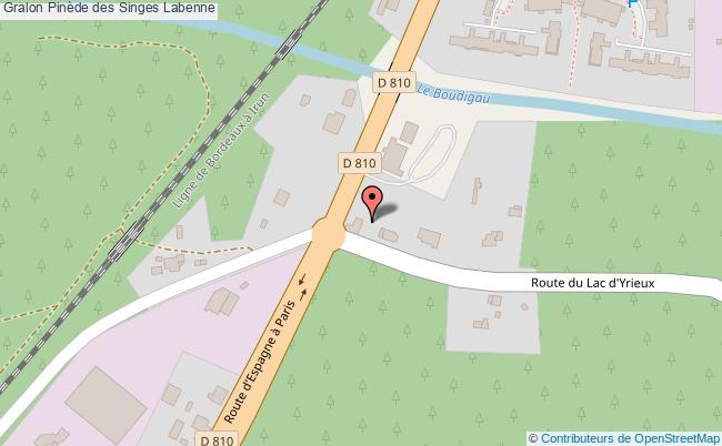 Pinède des singes Labenne tourisme Zoo - parc animalier