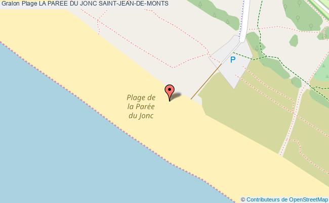 Plage La paree du jonc Saint-Jean-de-Monts qualité baignade Plage La ...