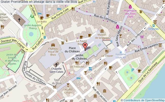 Promenades en attelage dans la vieille ville Blois tourisme