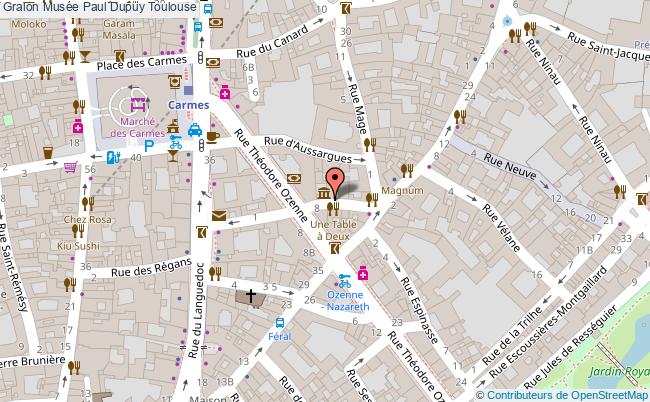 Musée Paul Dupuy Toulouse