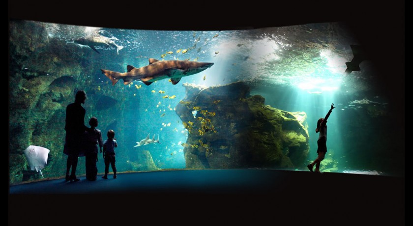 Aquarium la rochelle La rochelle tourisme Aquariums