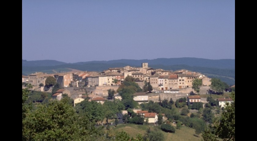 Castelnau de montmiral Castelnau de montmiral tourisme