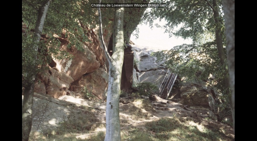 Château de loewenstein Wingen tourisme
