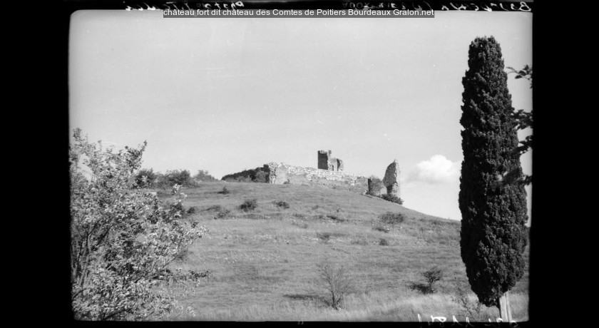 Château fort dit château des comtes de poitiers Bourdeaux tourisme