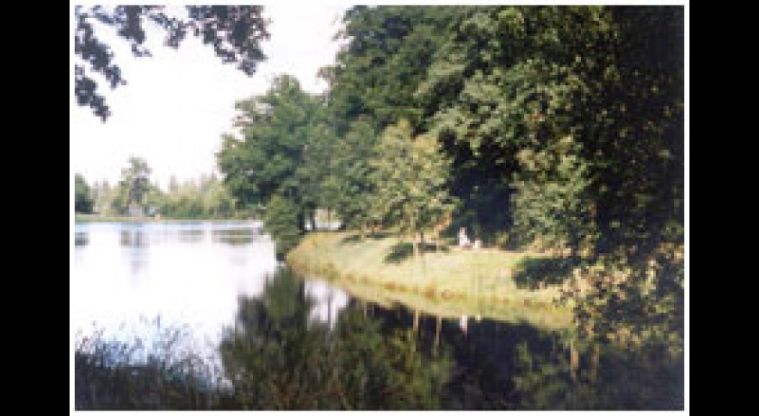 Forêt domaniale de saint sever Saint-sever-calvados tourisme