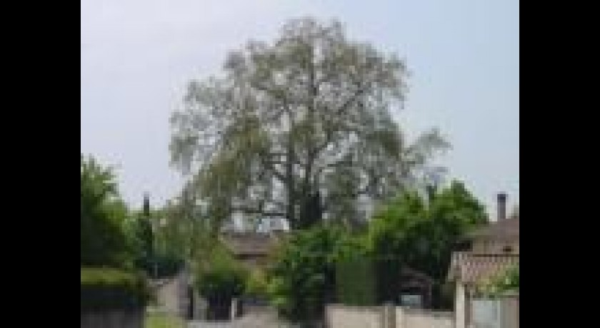 Le château robillard et son parc Saint-andre-de-cubzac tourisme Site ...