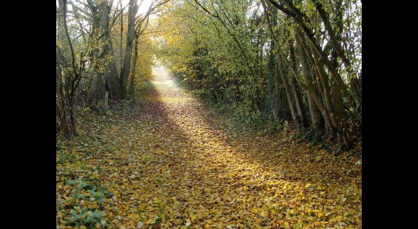 Maison botanique Boursay tourisme Espace naturel, parc et jardin, chemin,