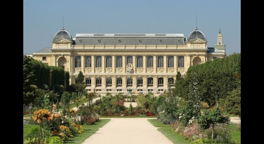 Muséum national d'histoire naturelle/ musée de l'homme Paris tourisme Musée