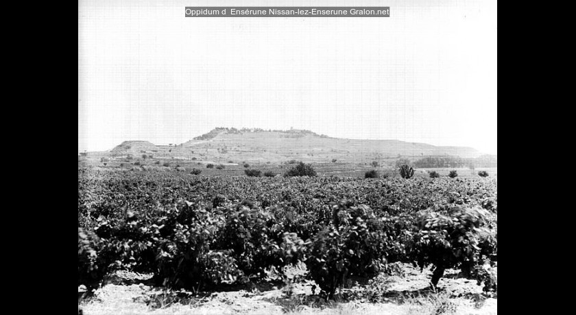 Oppidum d' ensérune Nissan-lez-enserune tourisme