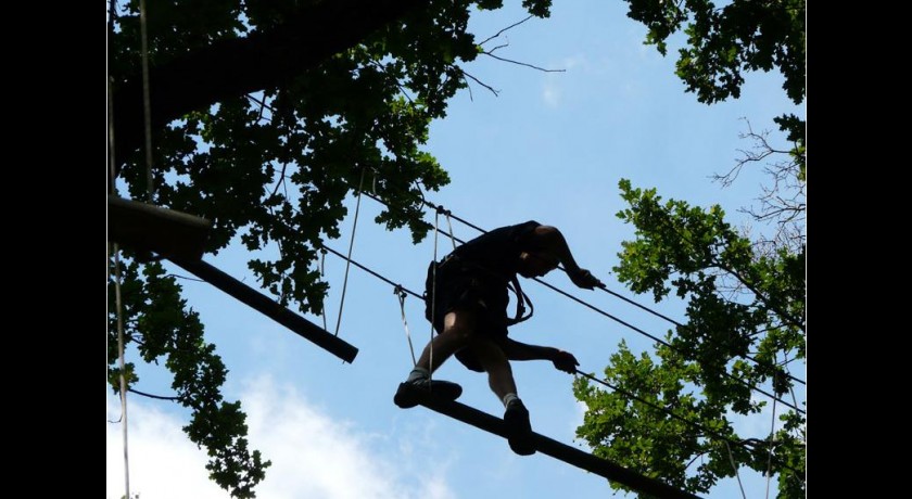 Parcours accrobranche en forêt à givry en bourgogne Givry tourisme