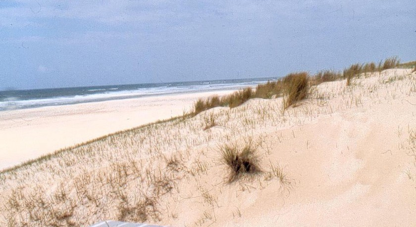 Plage centrale Moliets-et-maÂ tourisme Plage surveillée#Tremplin