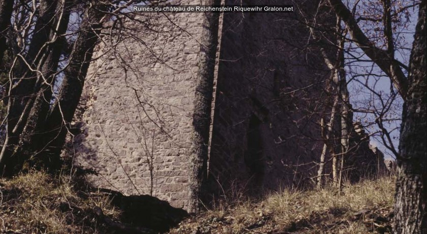 Ruines du château de reichenstein Riquewihr tourisme