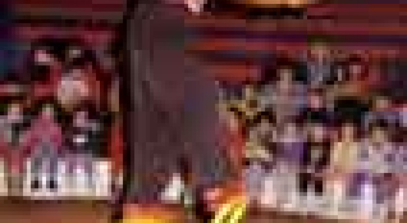 Une journée au cirque Villeneuve-la-garenne tourisme Activités culturelles